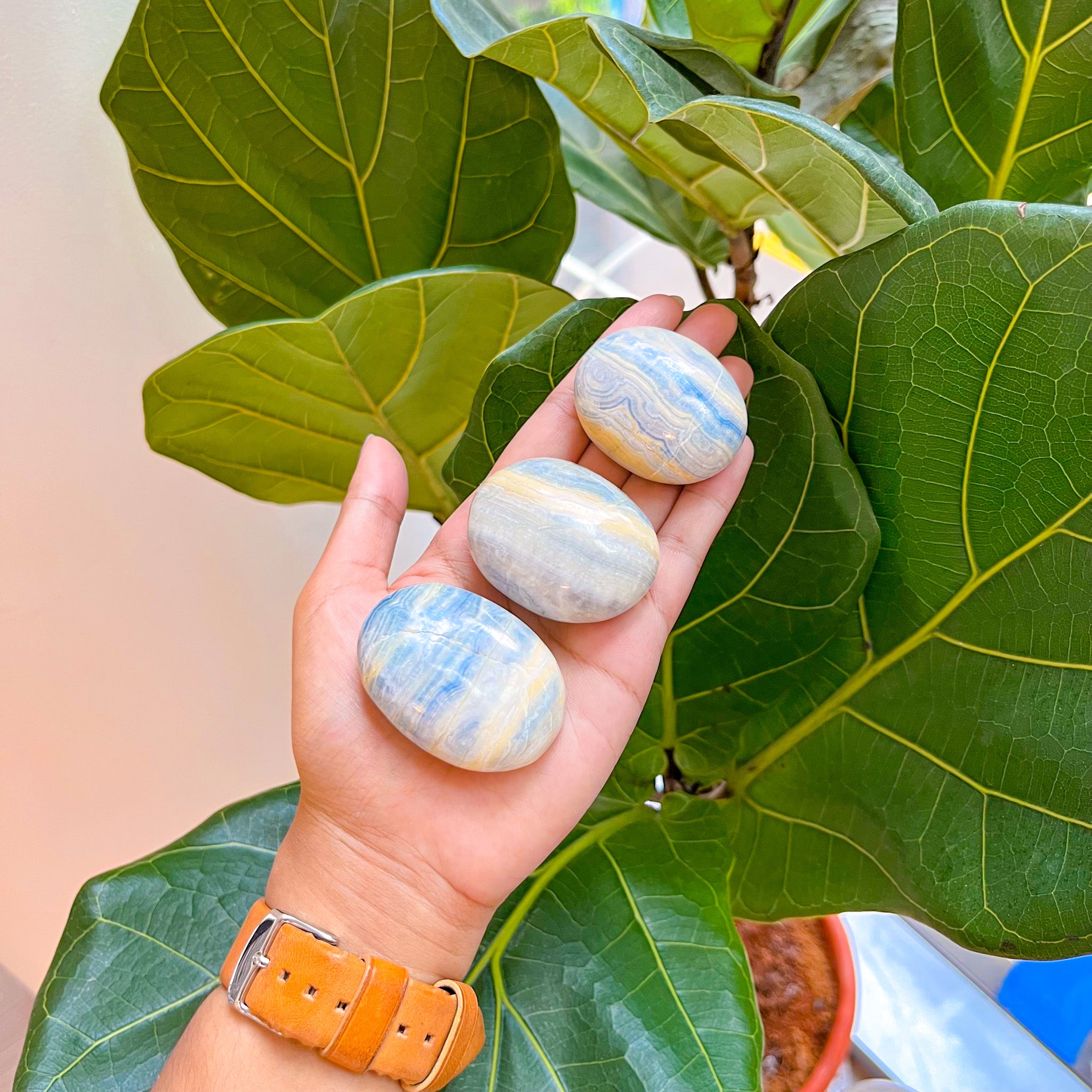 Blue Scheelite – Glace Crystals